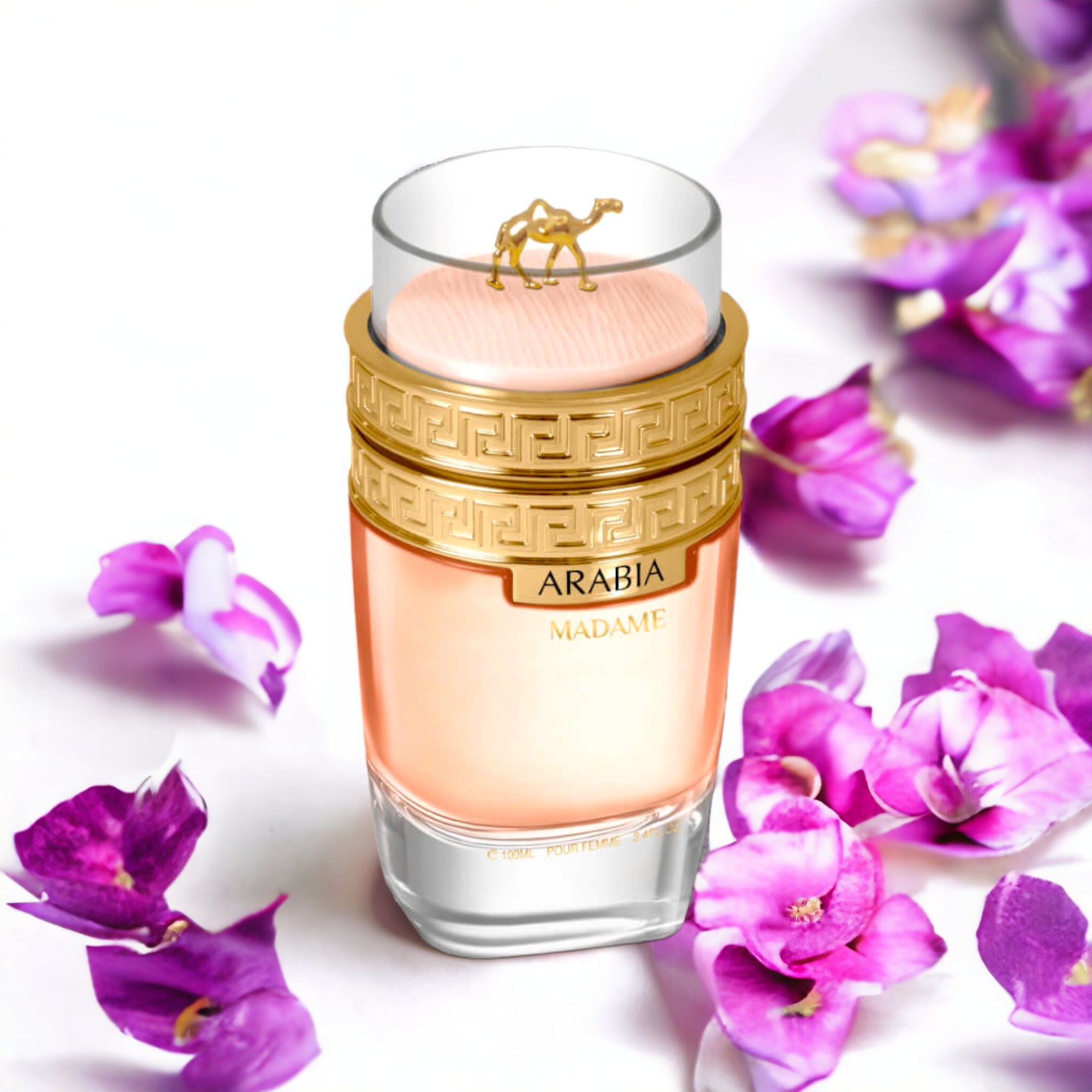 Arabia Madame By Le Chameau Eau De Parfum 3.4 oz Women – Compuboutique online